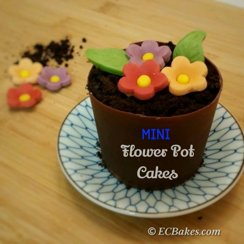 Mini Flower Pot Cakes 迷你盆栽蛋糕 – EC Bakes 小意思