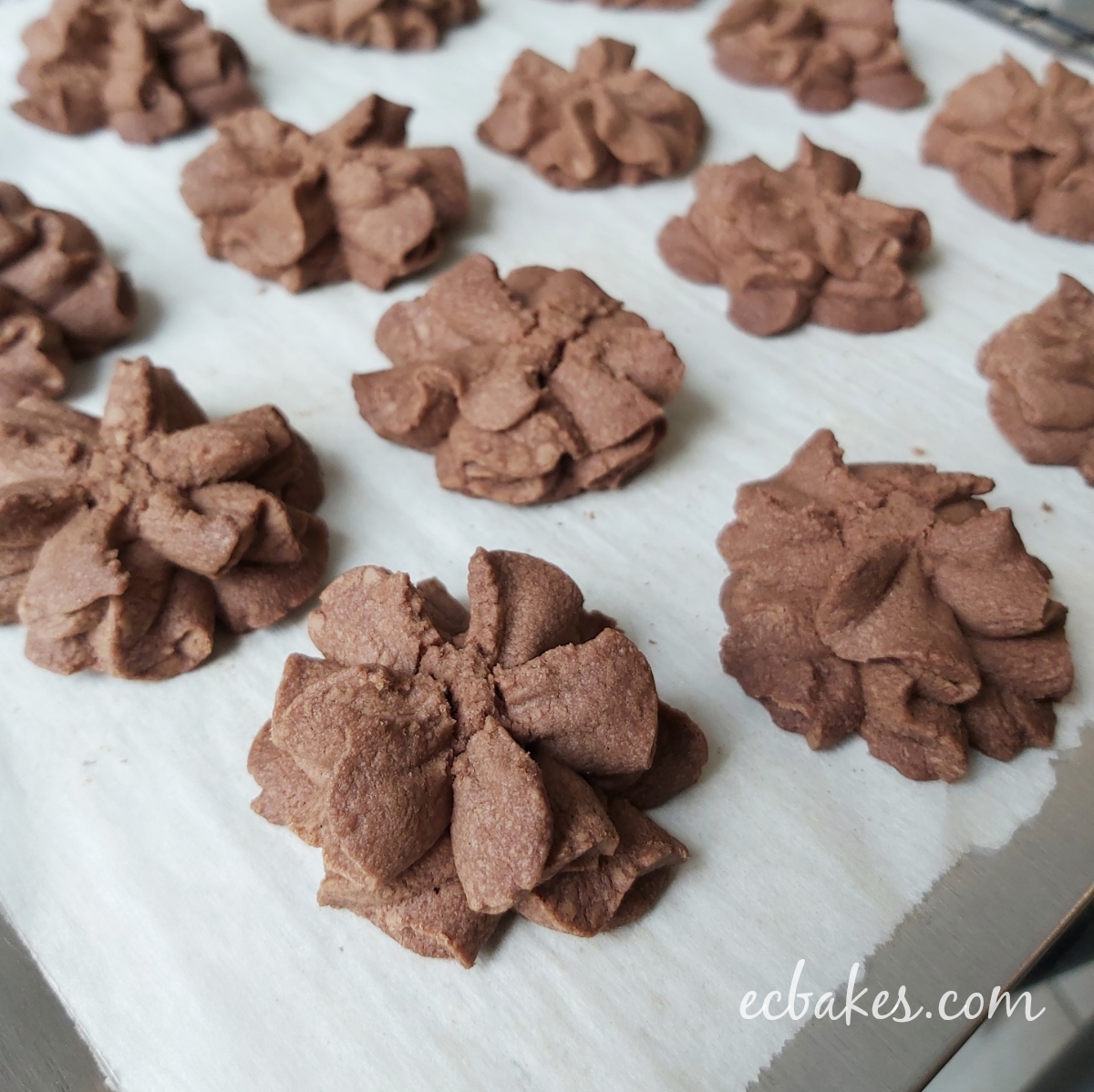 Piped Chocolate Shortbread Cookies 朱古力唧花牛油酥餅 – EC Bakes 小意思